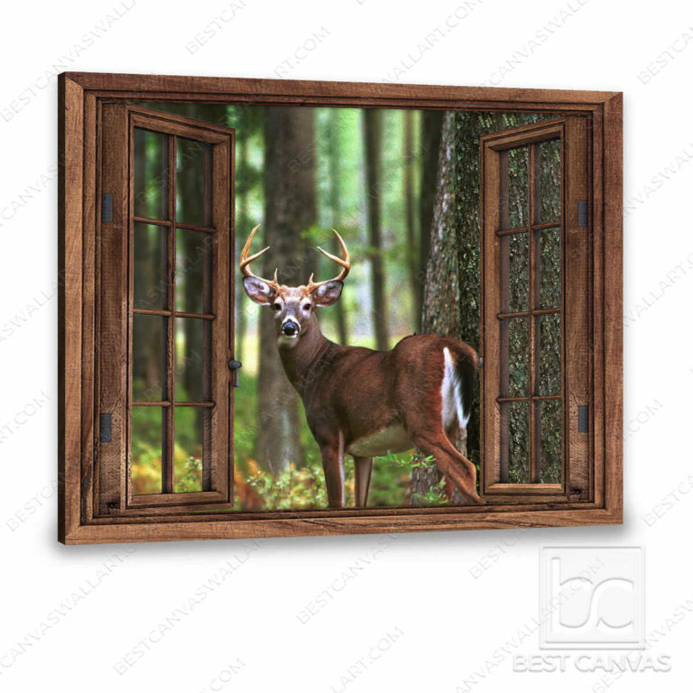 Beautiful White Tailed Deer In The Forest Through Rustic Window Wrapped ...
