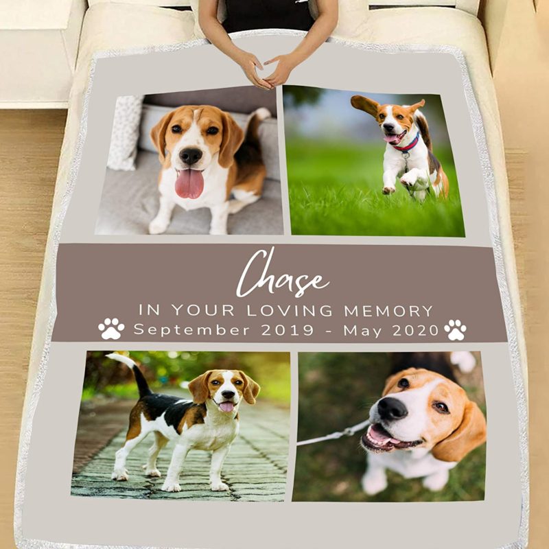 Custom Dog Memorial Canvas With Angel Wings - Personalized Pet ...