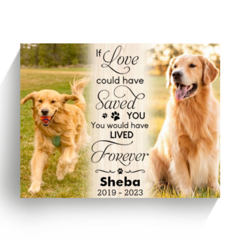Rainbow Bridge Dog, Dog Memorial Gifts Personalized, Rainbow Bridge ...