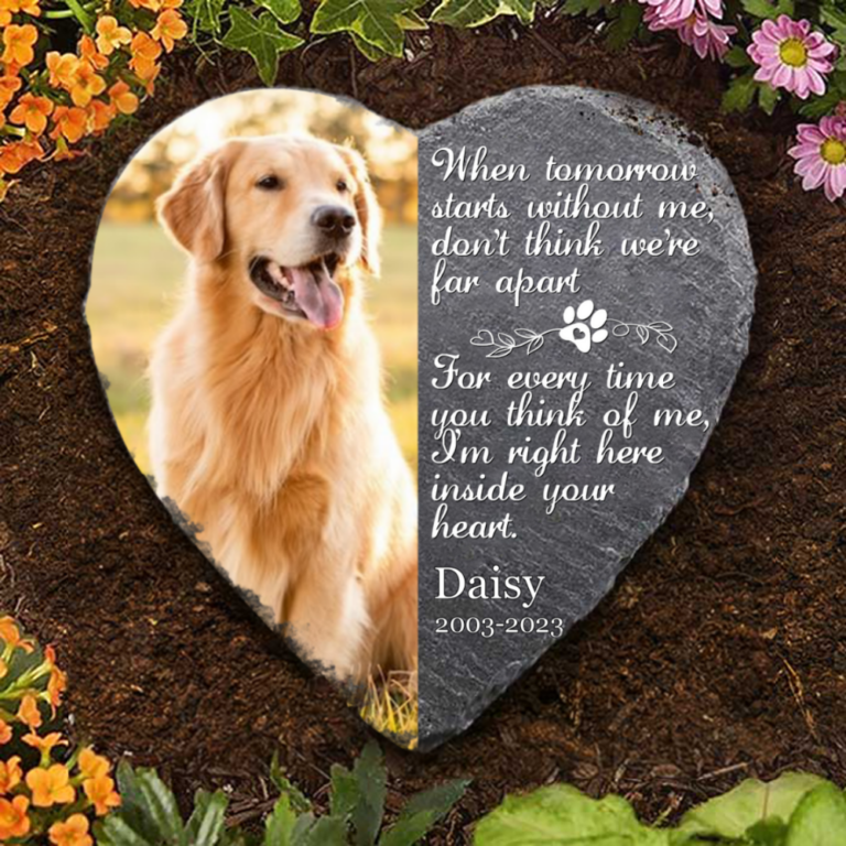 Rainbow Bridge Dog, Dog Memorial Gifts Personalized, Rainbow Bridge ...